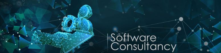 Software Consulting Services Delhi, Noida, Bangalore, India, UK and USA